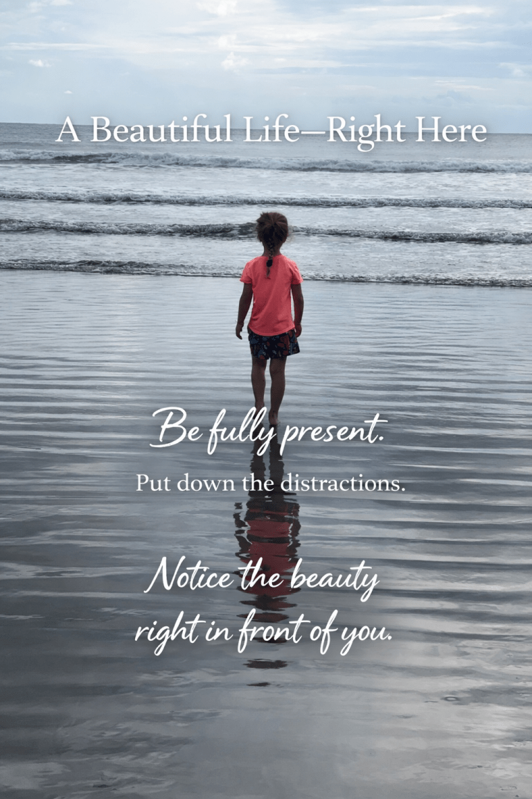 A Beautiful Life—Right Here: Rediscovering Presence in a Distracted ...
